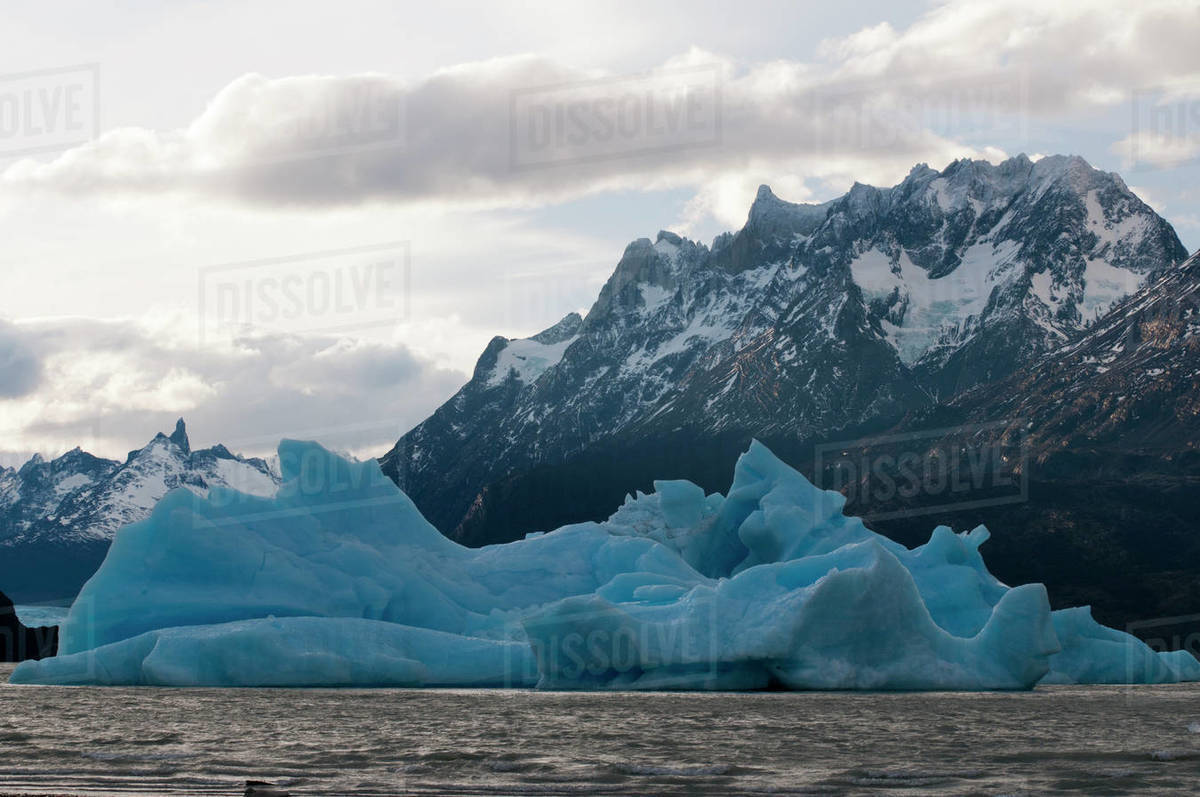 Chile, Patagonia, Torres del Paine National Park, Icebergs on Lago Grey ...