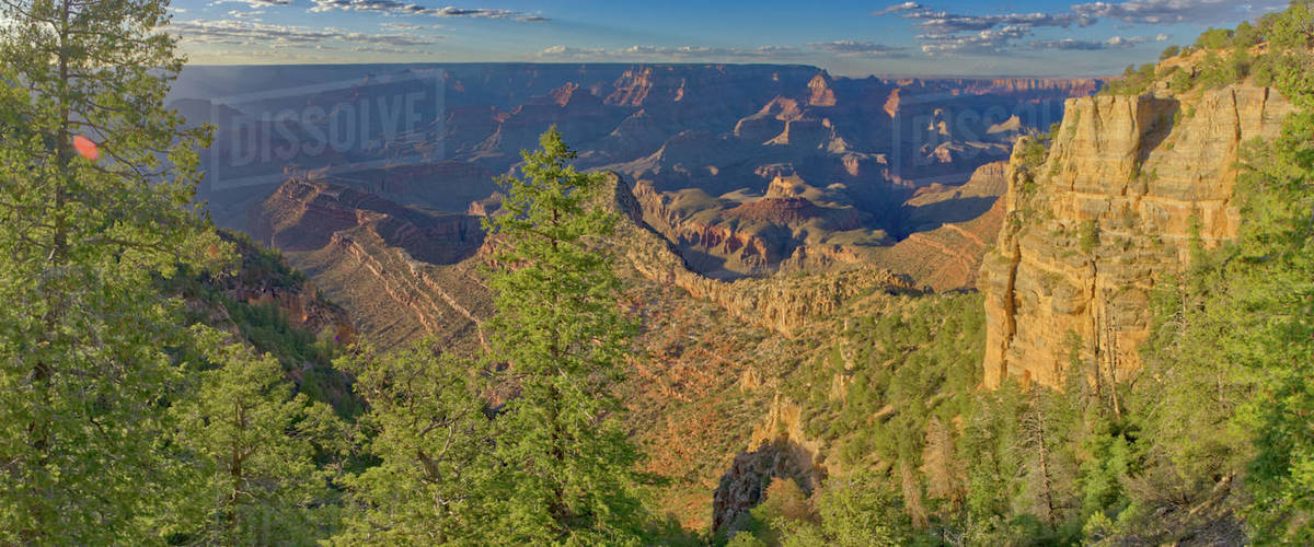 Grand Canyon viewed just west of the tourist overlook called Grandview ...