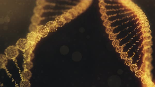 Seamless looping 3d animation of two rotating digital plexus DNA chains ...