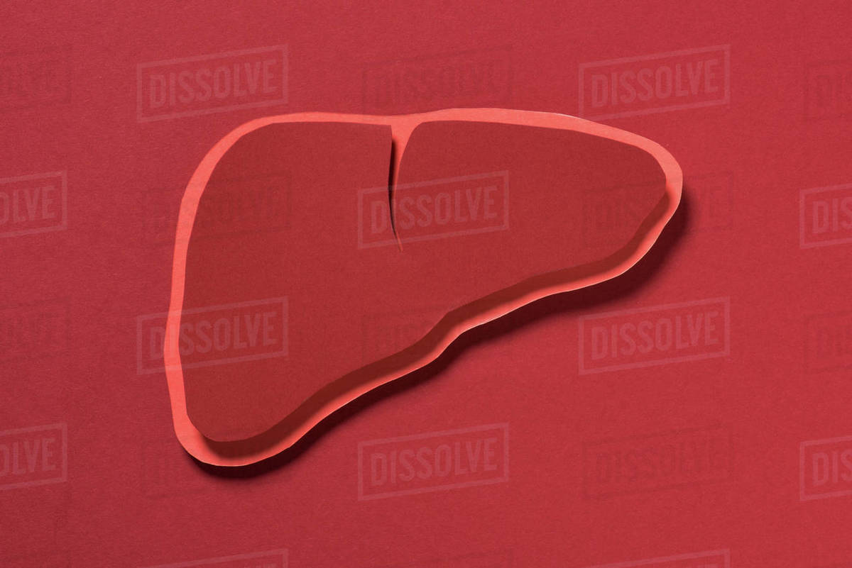 Elevated view of liver on red background - Royalty-free Stock Photo ...