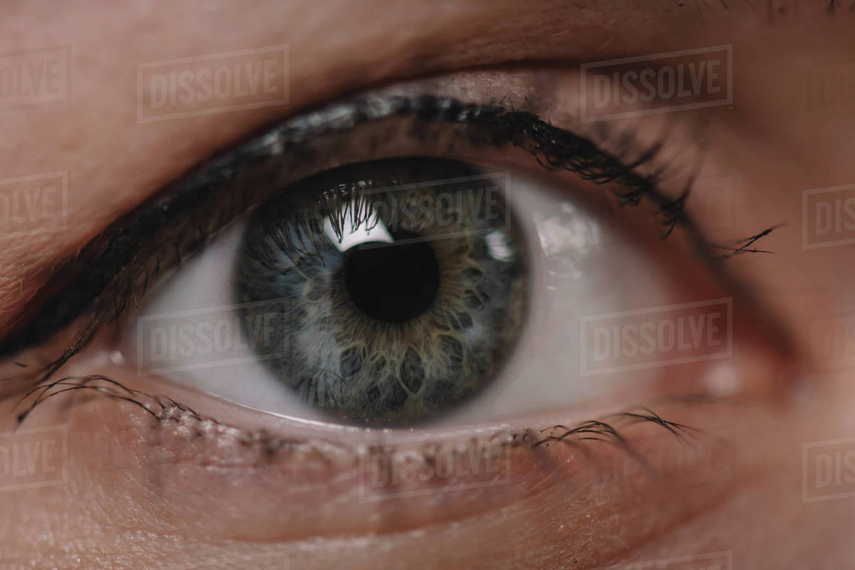 Cropped shot of female eye looking at camera - Royalty-free Stock Photo ...