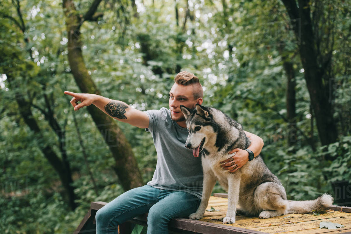 Cynologist and siberian husky dog sitting in park, man pointing ...