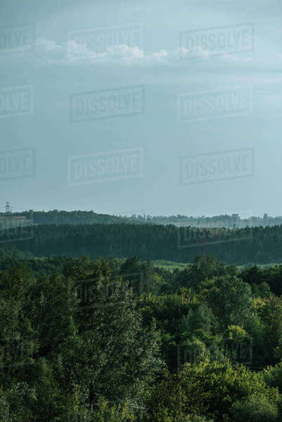 Aerial view of green forest and sky in autumn - Royalty-free Stock ...