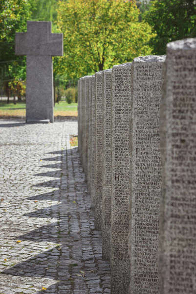close up view of identical stone tombs with lettering placed in row at ...