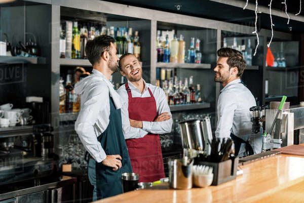 Cheerful happy handsome barmen in aprons talking at workplace - Stock ...