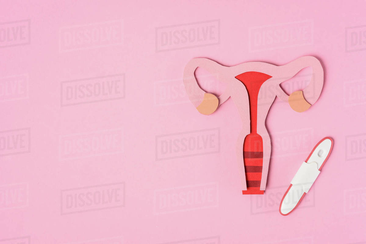 Elevated view of female reproductive system and pregnancy test on pink ...