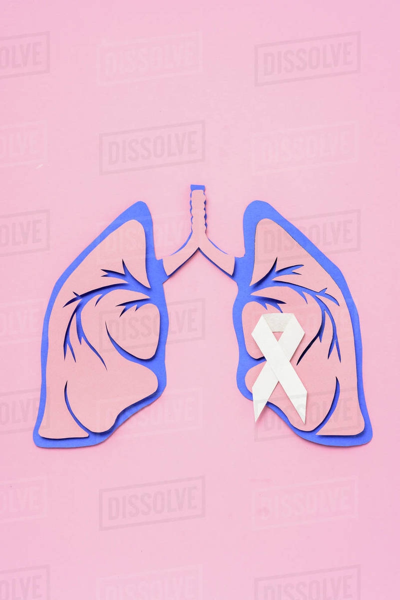 Flat lay with lung cancer awareness white ribbon and human lungs on ...