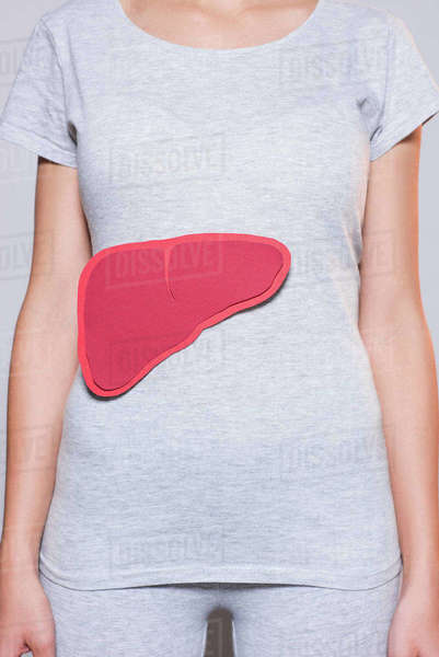 Partial view of woman with paper made human liver on grey background ...
