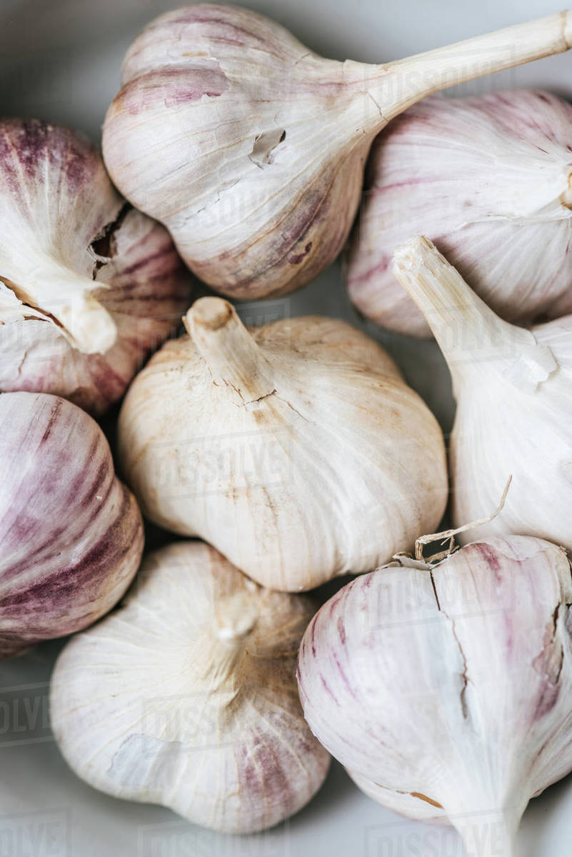 Close up of ripe garlic heads in white ceramic bowl - Royalty-free ...