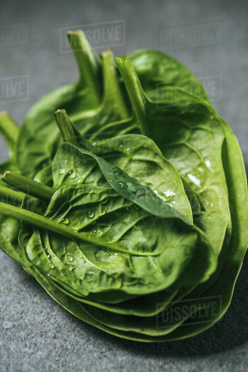 Wet organic spinach leaves with water drops on grey background - Stock ...