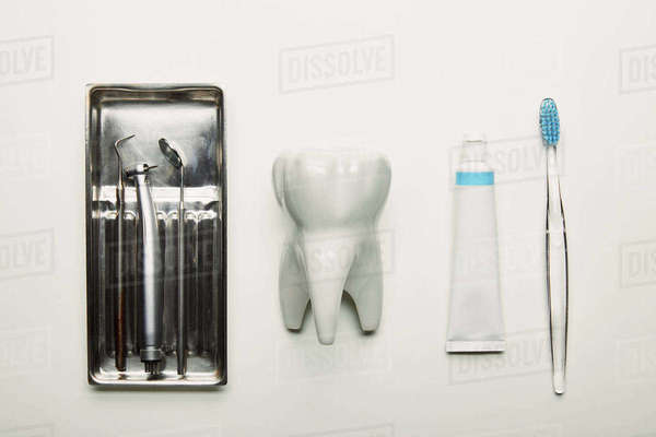 Flat lay with stainless dental instruments in container, tooth model ...