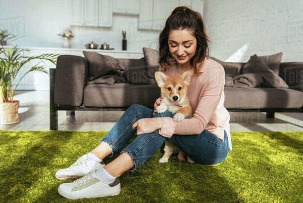 Joyful woman with cute welsh corgi pembroke at home - Royalty-free ...
