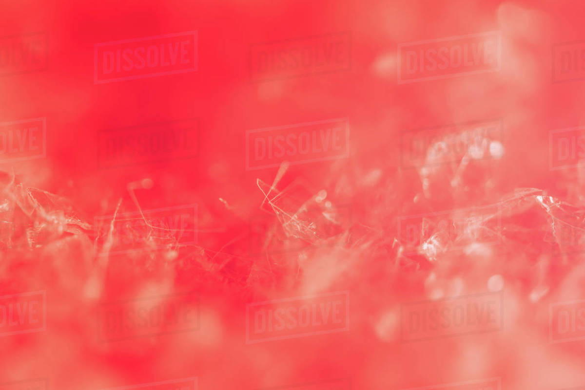 Abstract red blurred background with copy space - Stock Photo - Dissolve
