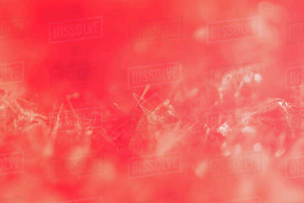 Abstract red blurred background with copy space - Royalty-free Stock ...