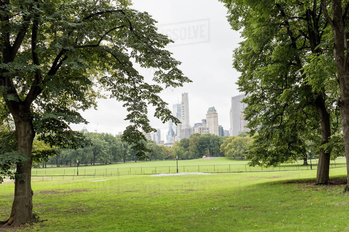 Urban scene with trees in city park and skyscrapers in new York, USA ...