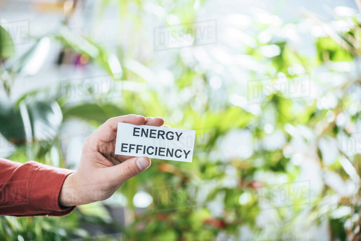 Cropped view of man holding card with lettering, energy efficiency at ...