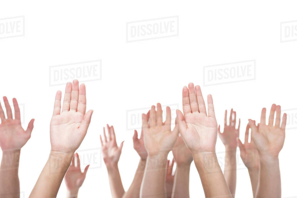 Cropped shot of people raising hands isolated on white - Stock Photo ...