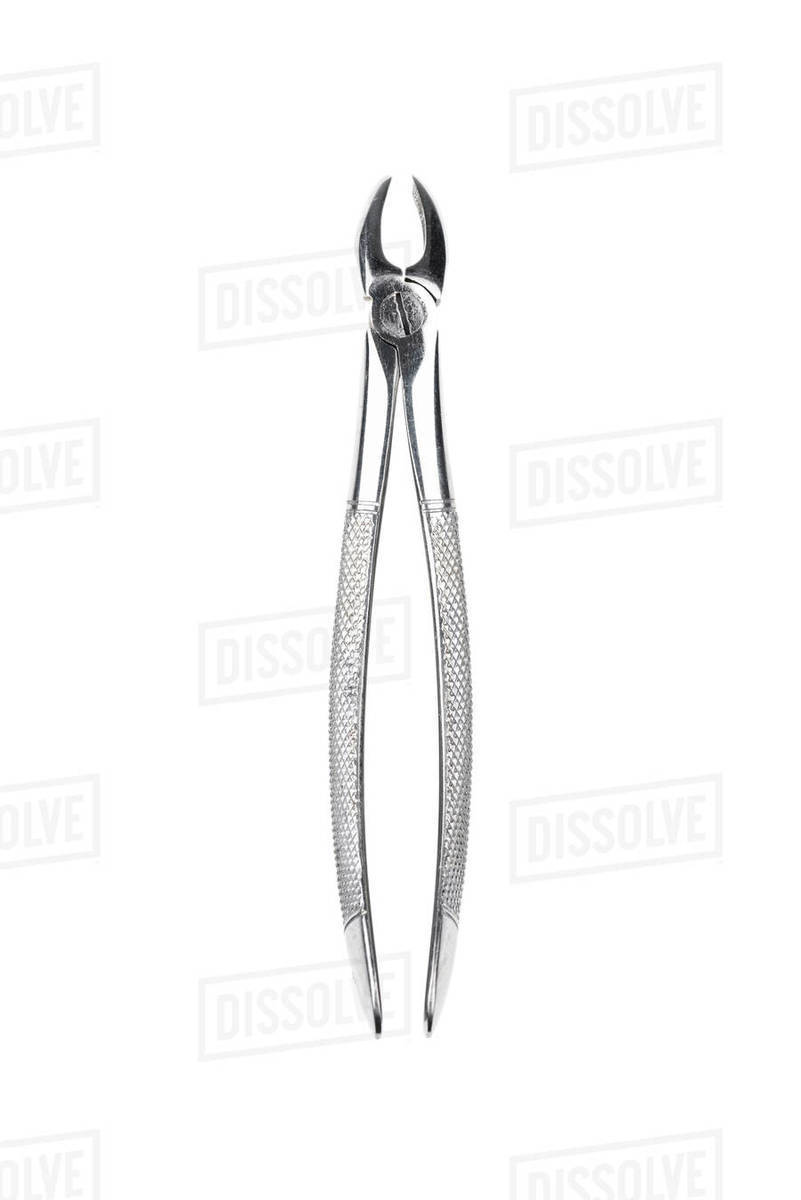 Close-up view of professional dental forceps tool isolated on white ...