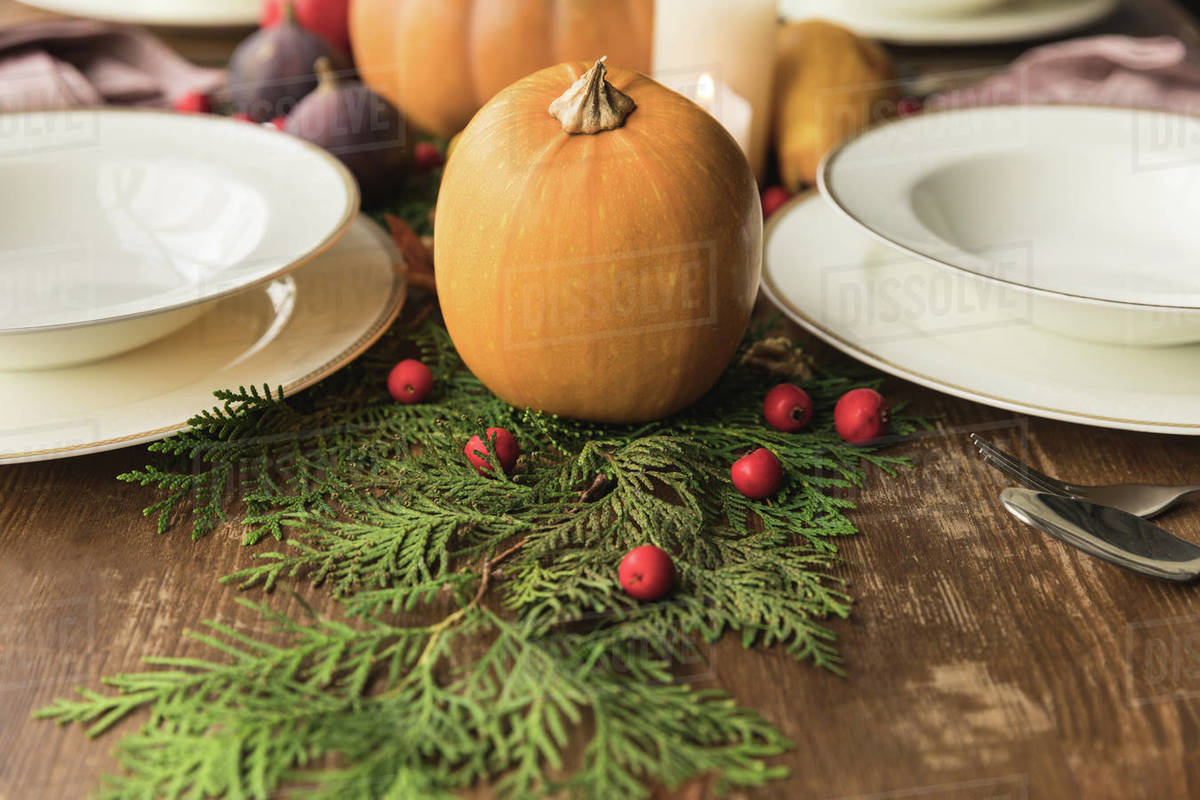 close-up view of ripe pumpkins and empty plates on table served for ...