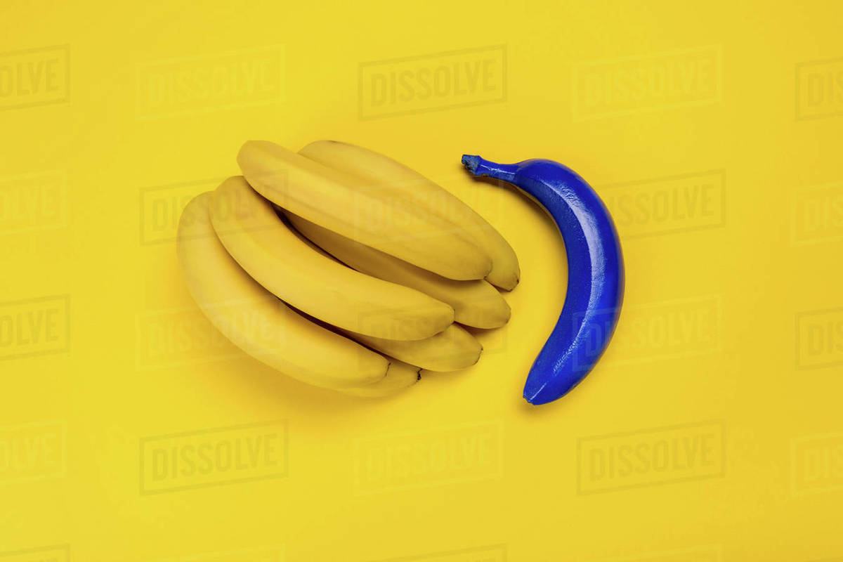 Top view of blue and yellow bananas isolated on yellow, bunch of ...