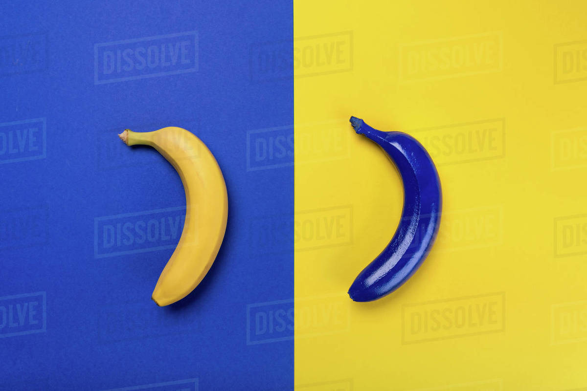 Top view of yellow and blue bananas isolated on blue and yellow ...