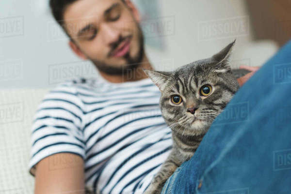 Close-up shot of young man petting cute tabby cat - Royalty-free Stock ...