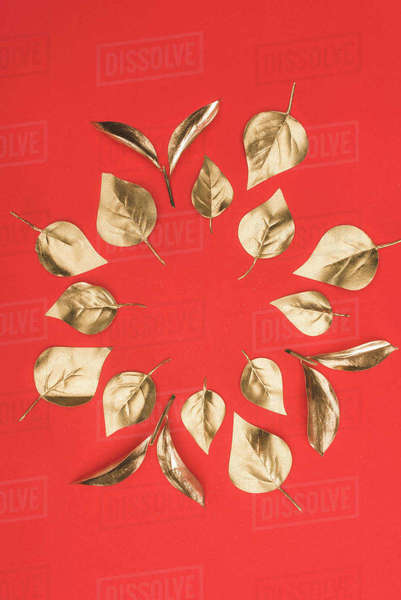 Top view of arranged in circle golden leaves isolated on red - Royalty ...