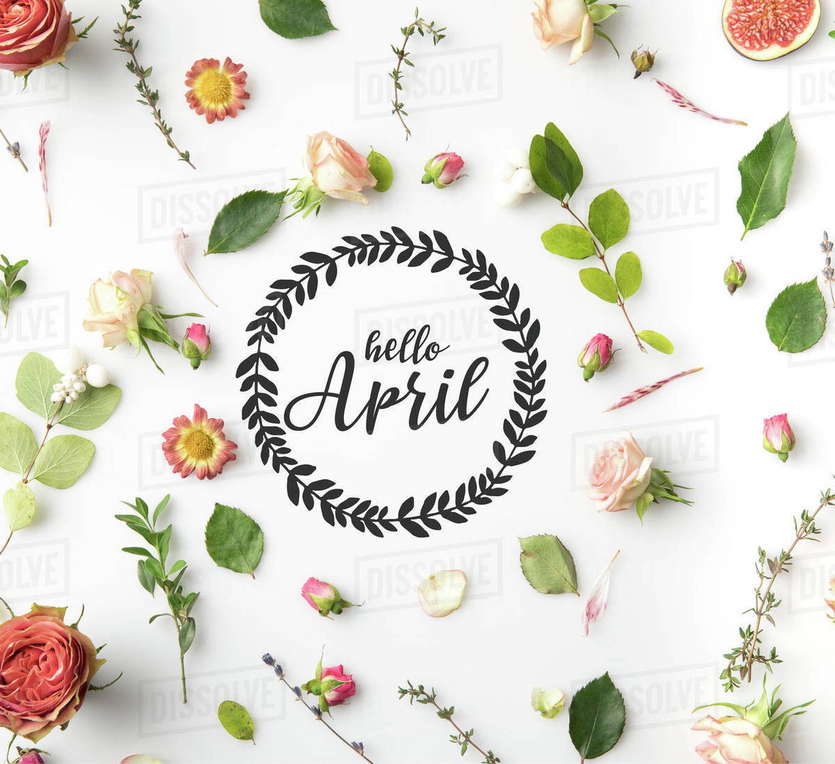 HELLO APRIL lettering surrounded with pink flowers, petals and figs ...