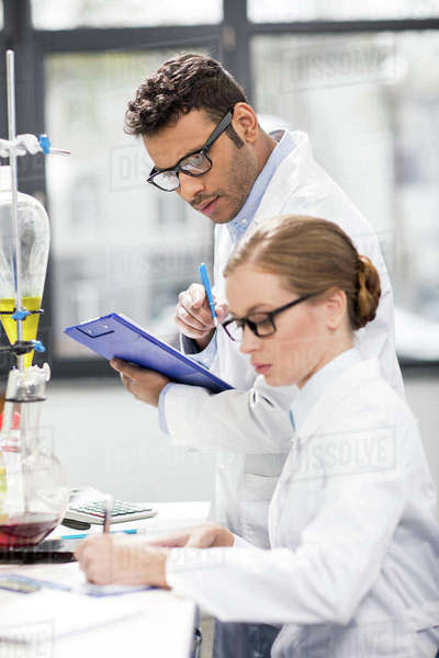 Side view of scientists working in laboratory - Stock Photo - Dissolve