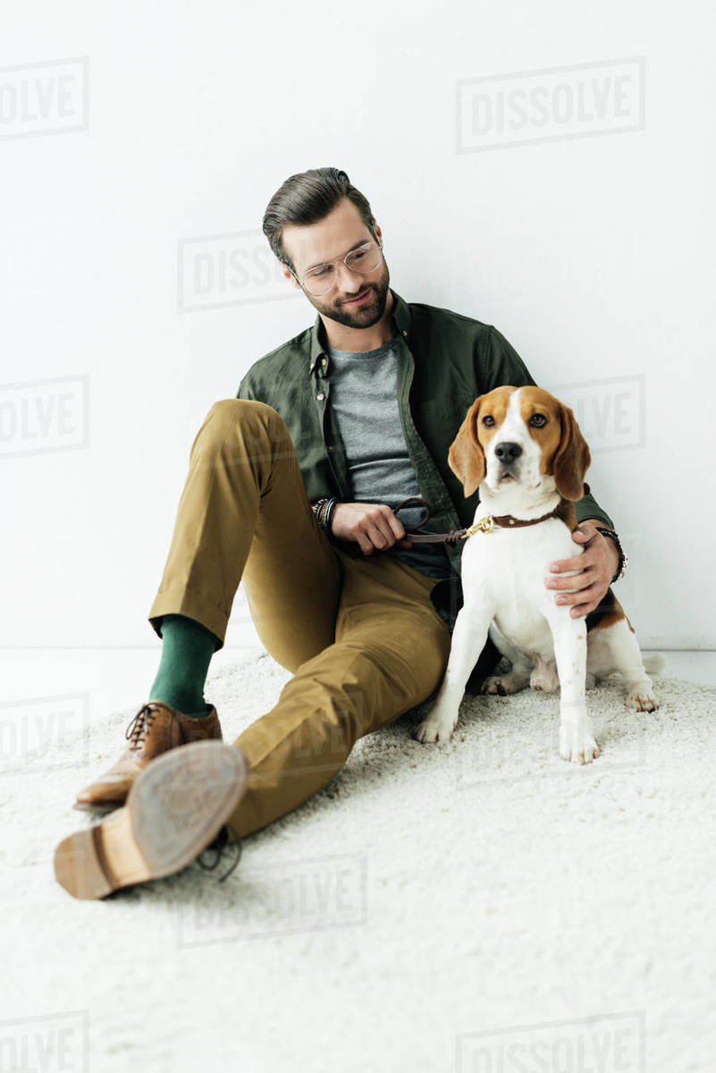 Handsome man hugging cute beagle on carpet - Royalty-free Stock Photo ...