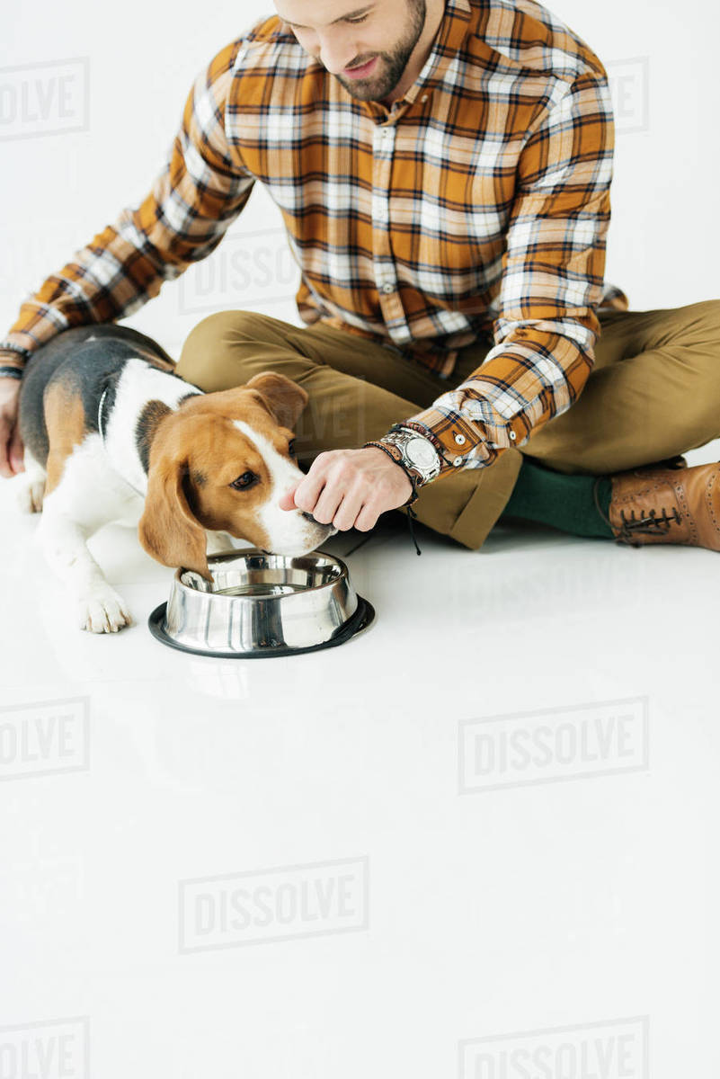 Dog sniffing food in man hand - Stock Photo - Dissolve