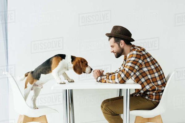 Side view of dog sniffing food in man hand - Royalty-free Stock Photo ...