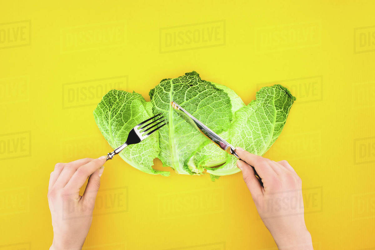 Cropped shot of person eating healthy savoy cabbage isolated on yellow ...
