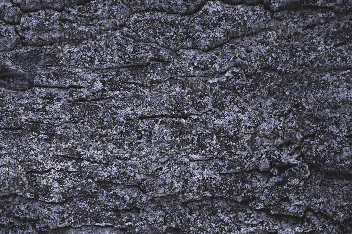 Cracked rough purple tree bark background - Royalty-free Stock Photo ...