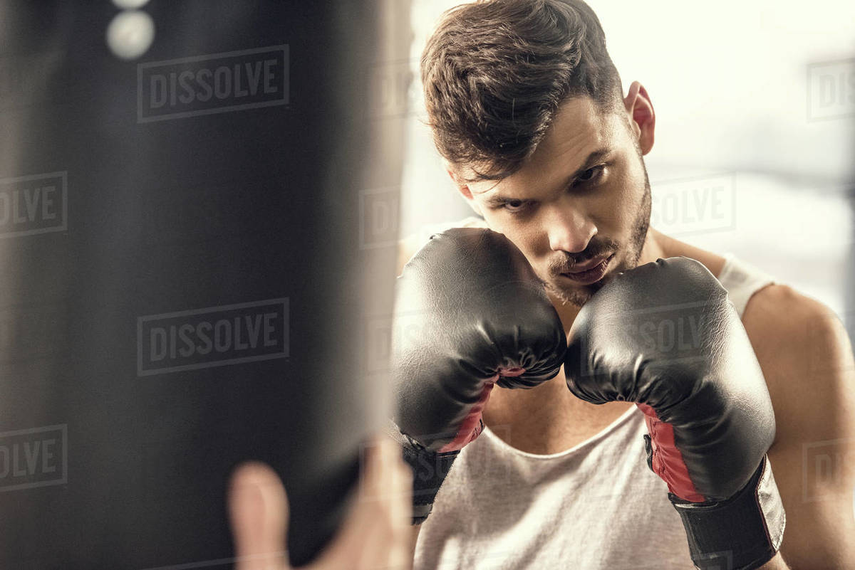 Concentrated young boxer looking at punching bag - Stock Photo - Dissolve