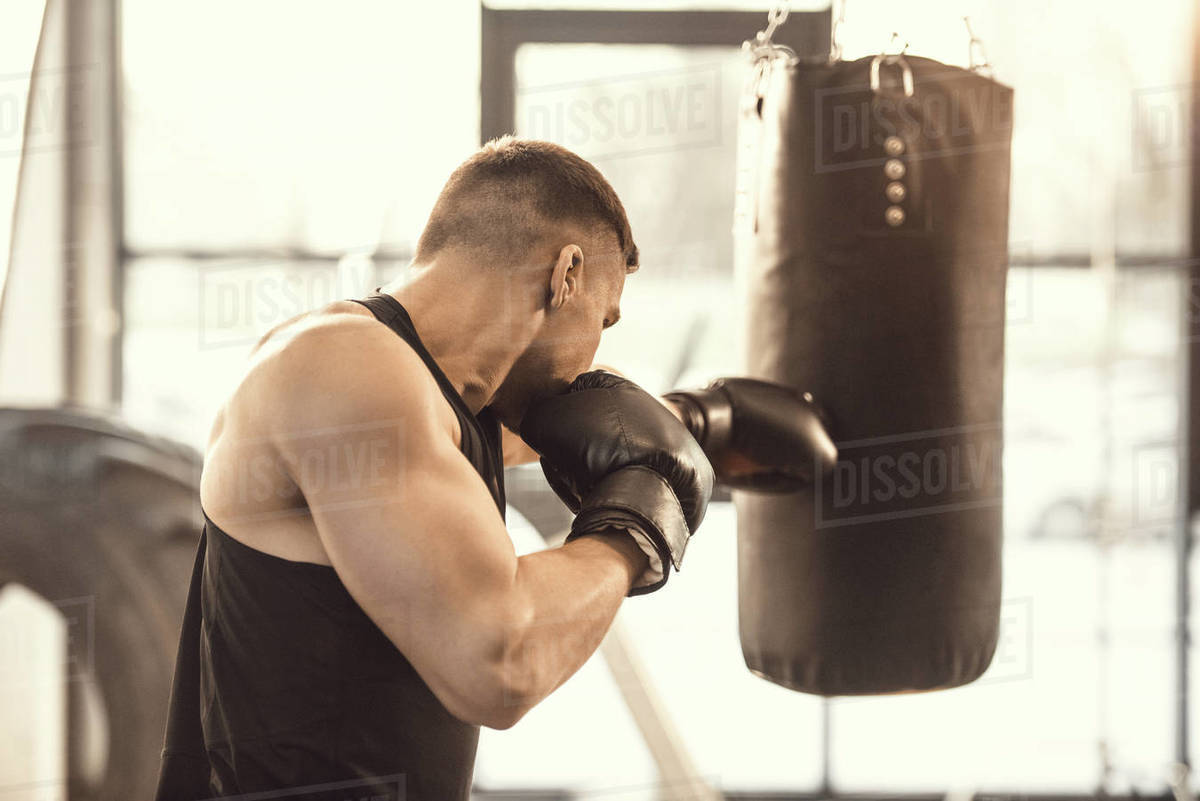 Side view of muscular young boxer training with punching bag - Stock ...