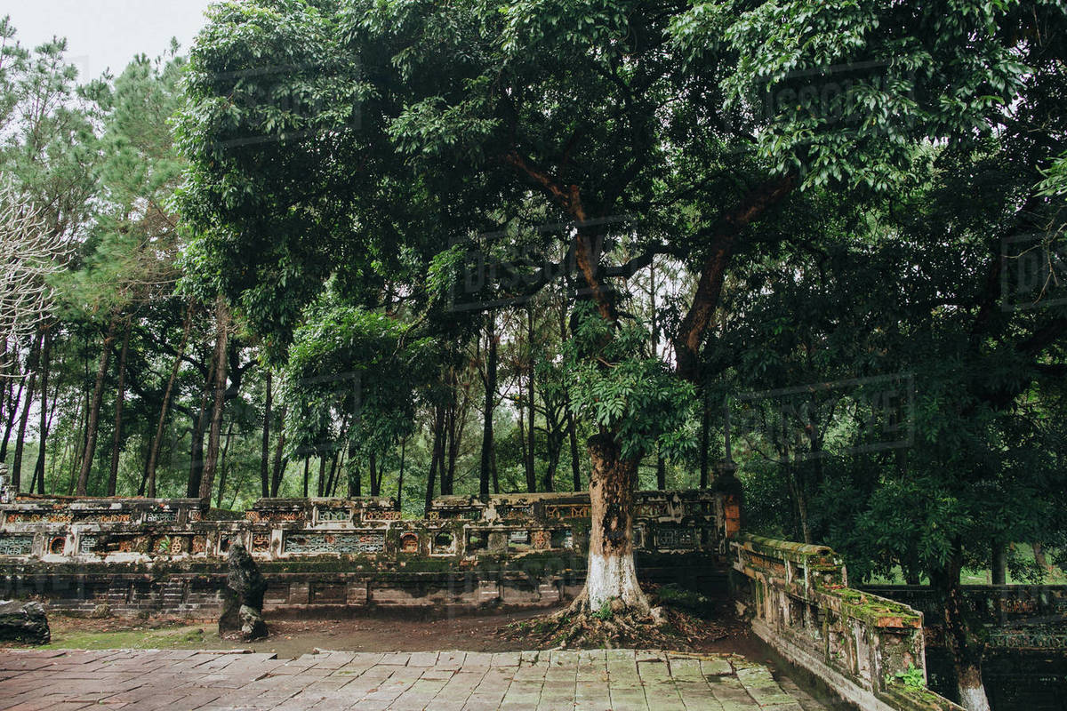 ruins of ancient architecture and green trees in Hue, Vietnam - Stock ...