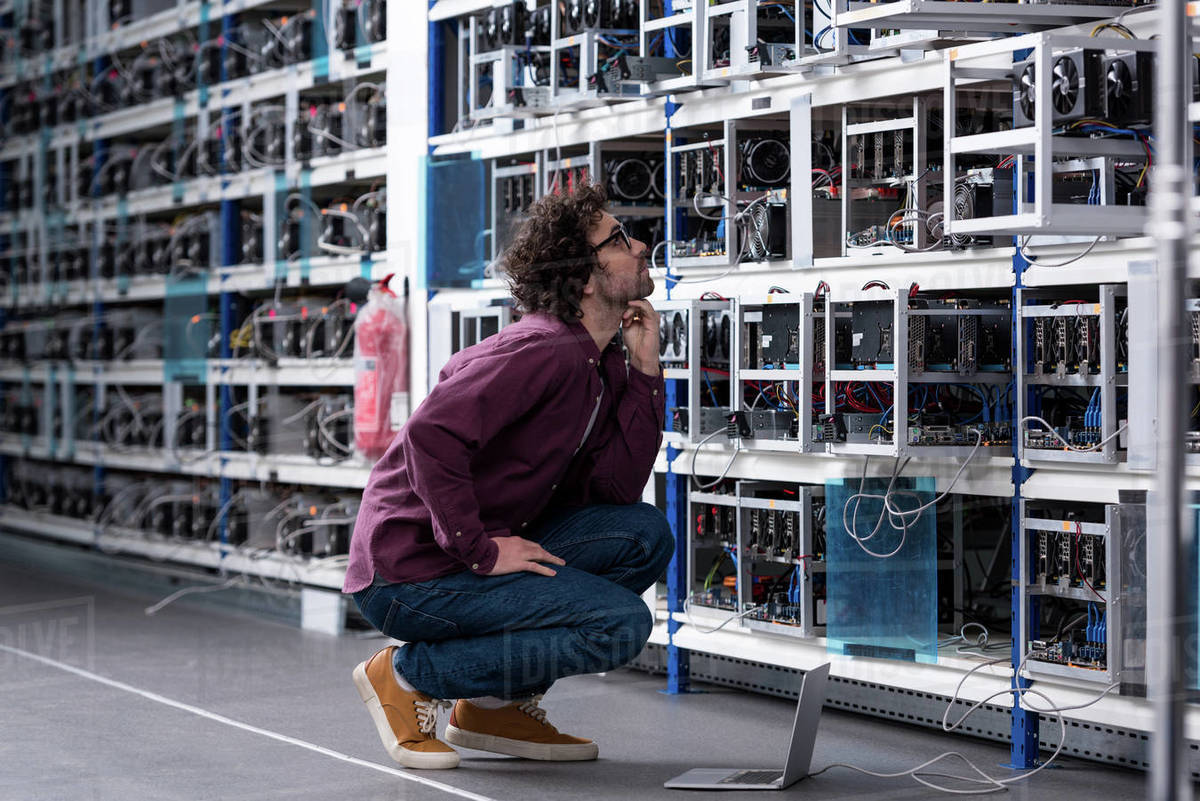 Young computer engineer sitting on floor and looking at cryptocurrency ...
