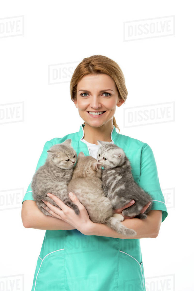 Veterinarian holding adorable kittens and smiling at camera isolated on ...