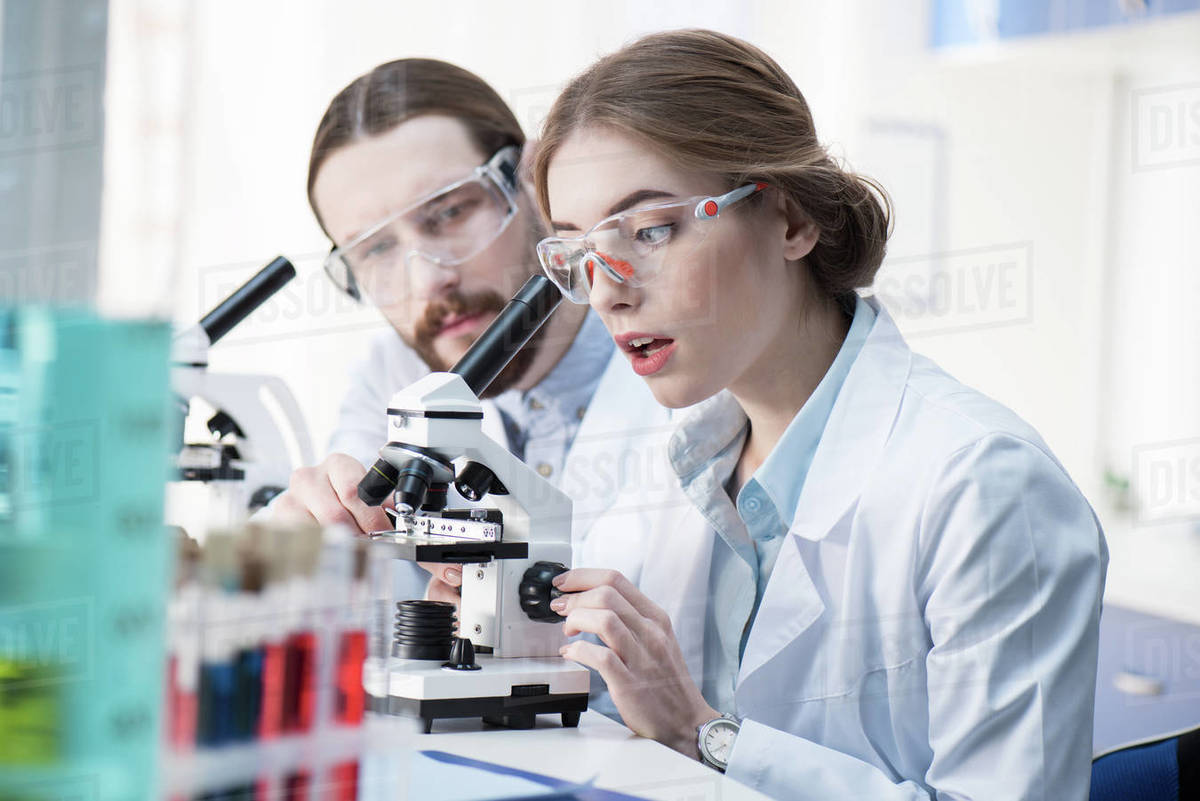 Young professional chemists working with microscope together in lab ...