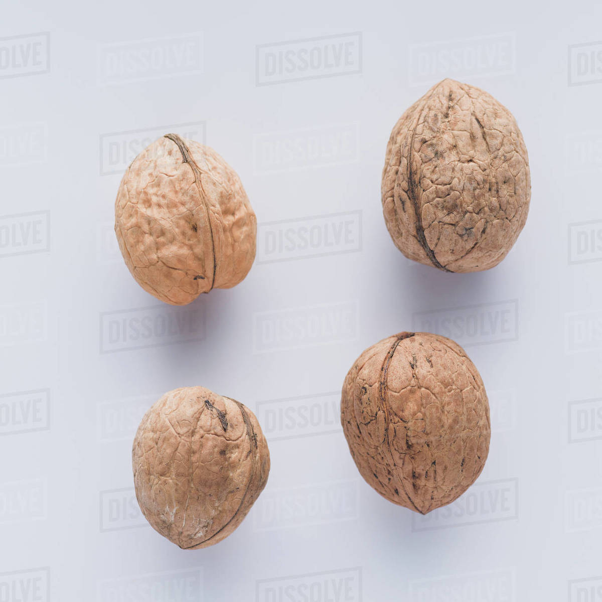 Top view of walnuts on white surface - Royalty-free Stock Photo | Dissolve