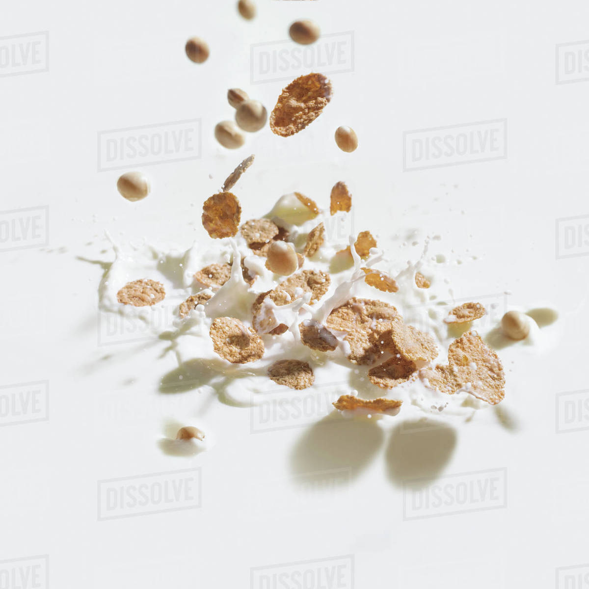 Cereal flakes and soybeans falling in milk with drops on white ...