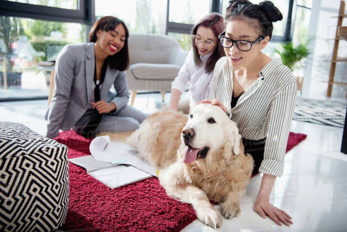 Smiling multiethnic businesswomen petting furry dog while sitting on ...