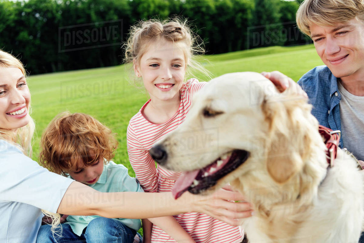 Happy family with two children stroking dog at park - Royalty-free ...
