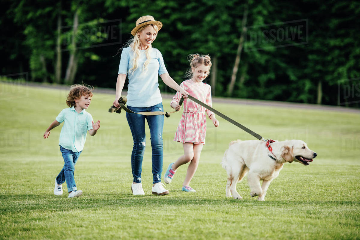 Happy young mother with adorable kids and dog walking in park - Royalty ...