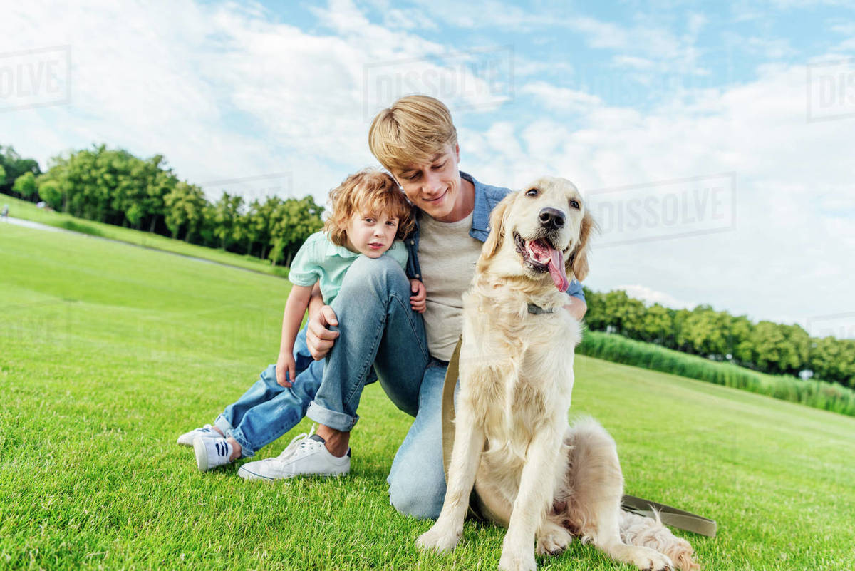 Happy father and son looking at golden retriever dog at park - Royalty ...