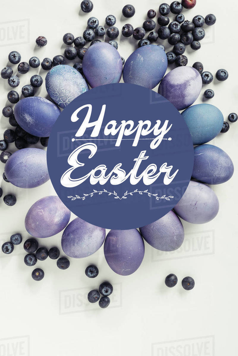 Purple painted chicken eggs, blueberries and happy easter inscription ...