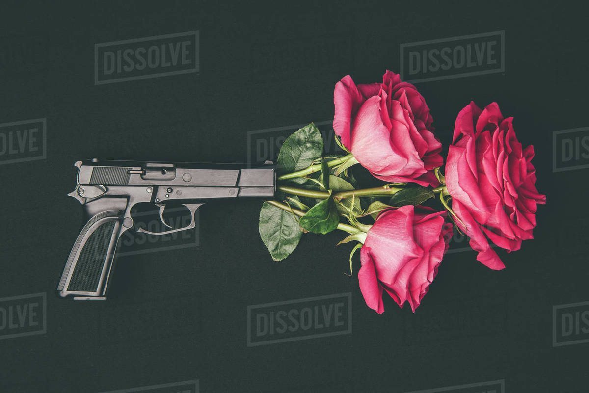 Bouquet of red roses shooting from gun isolated on black - Royalty-free ...