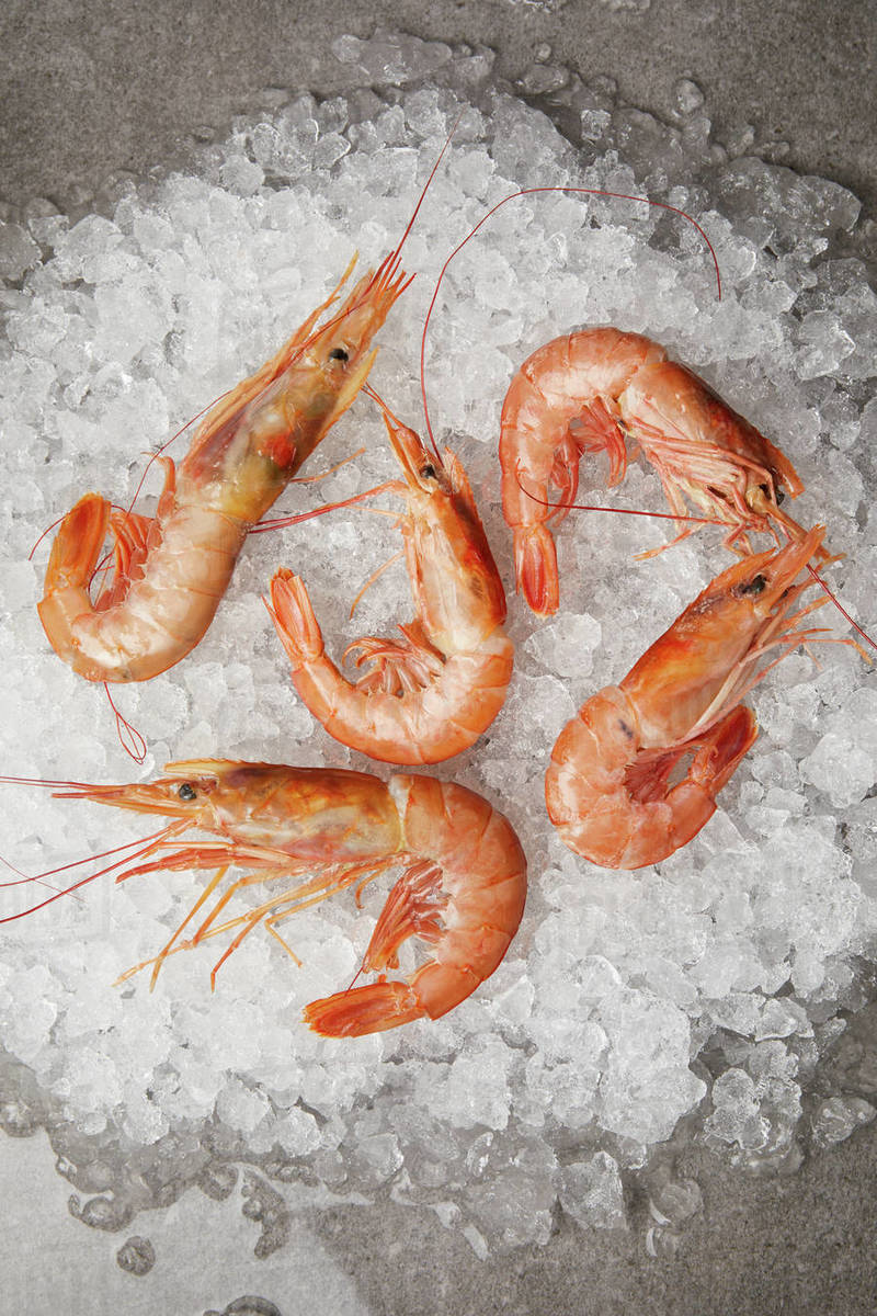 Top view of cooked prawns on crushed ice - Royalty-free Stock Photo ...