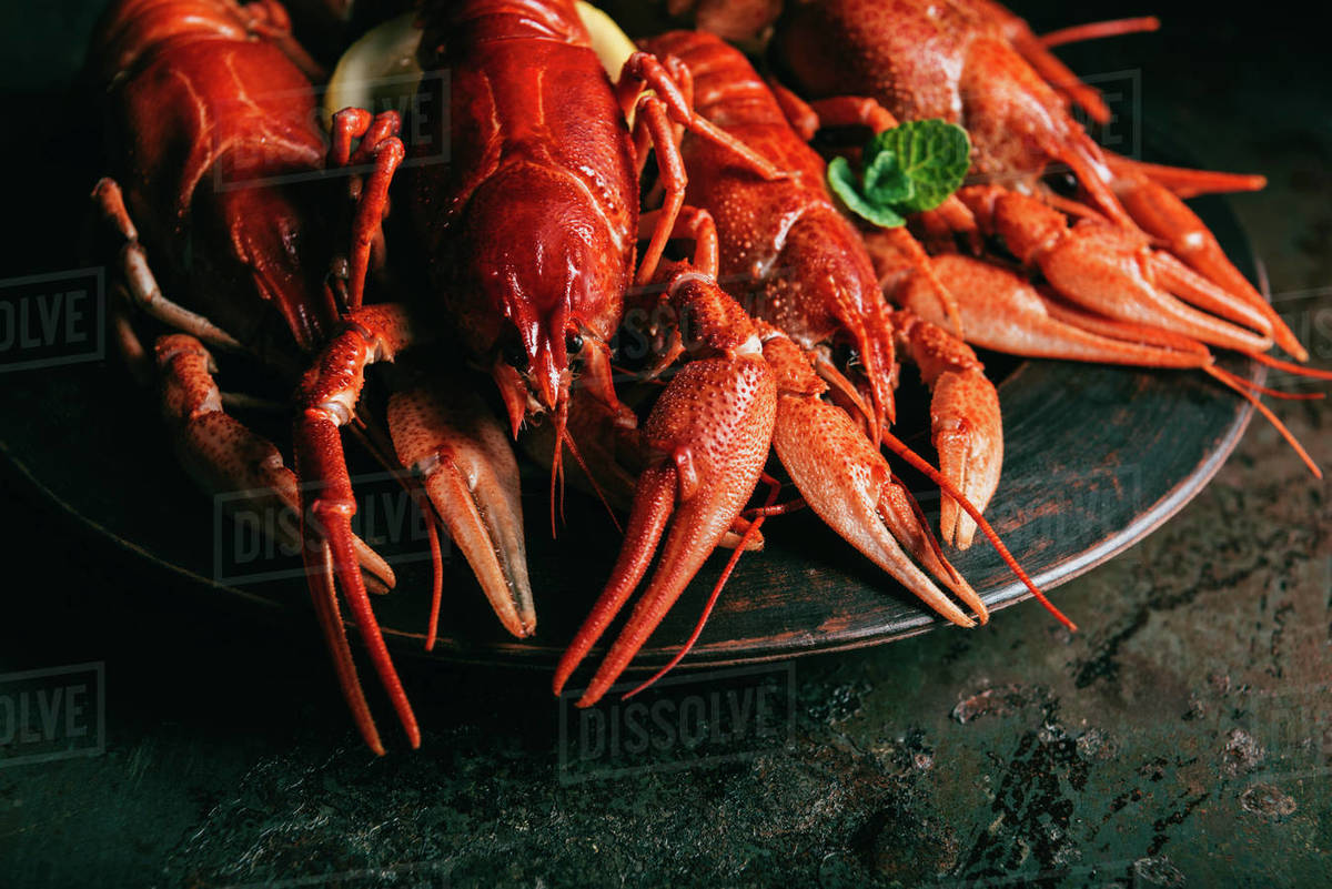 Pile of crayfishes with mint and lemon slices on plate on table ...